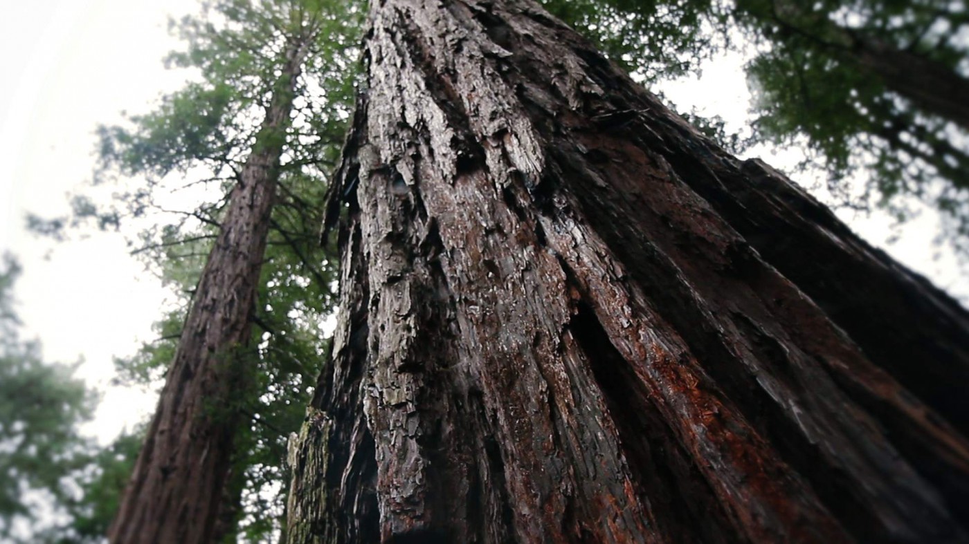 Lehm ein Baustoff aus der Natur | Lightaspect